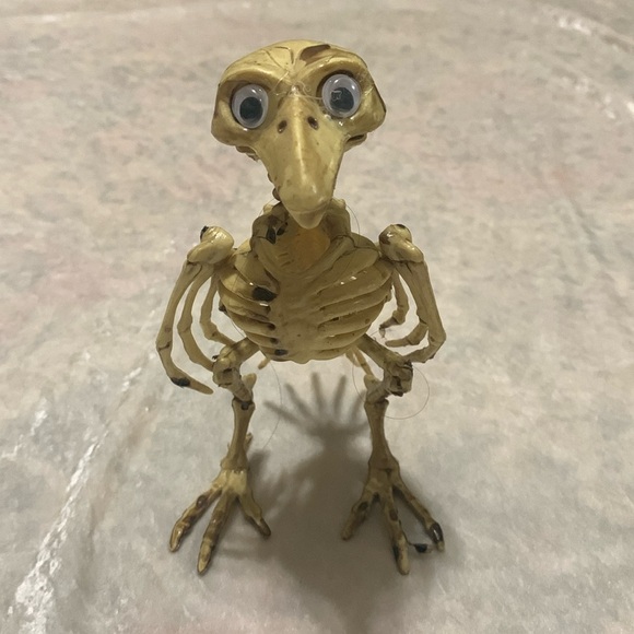 Spirit | Holiday | Spirit Halloween Skeleton Crow Raven Bird 7 ...